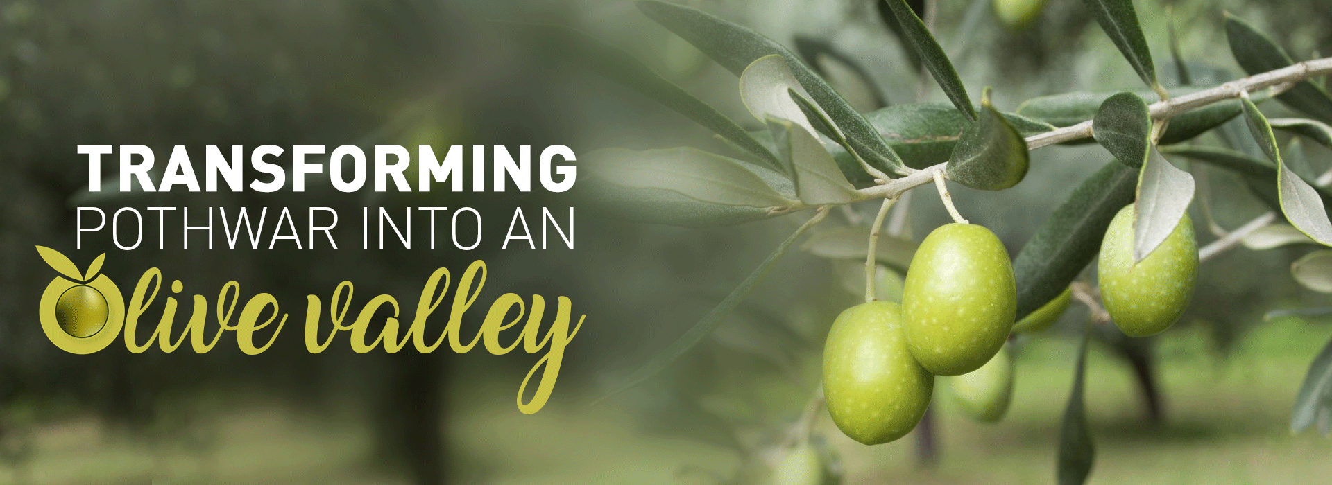Olive Valley - Time & Space Media Pvt Ltd